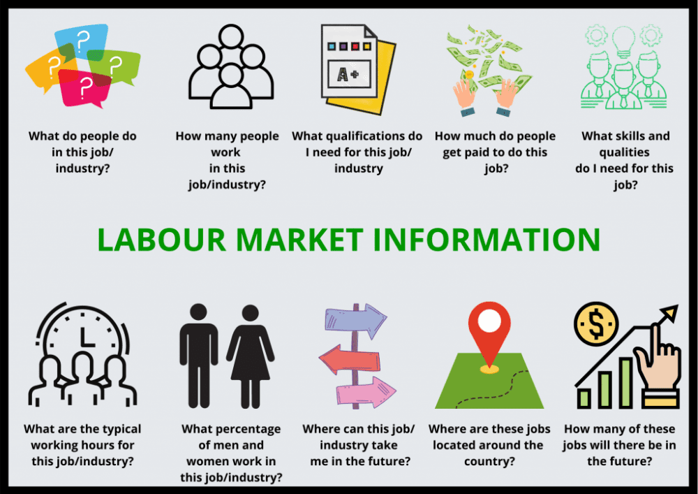 Labour Market Information – BIGS